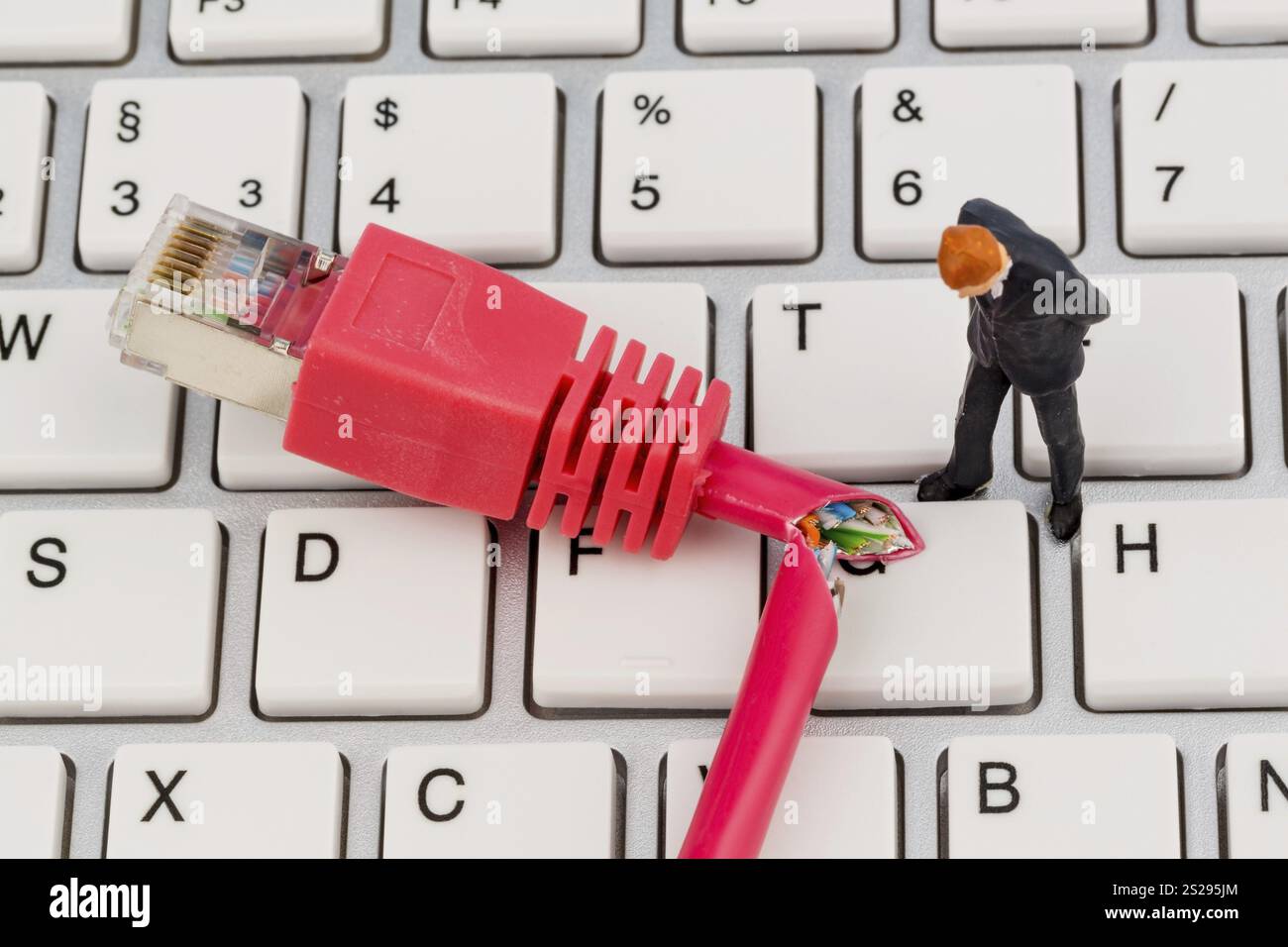 Worker, network plug, keyboard, symbol photo for Internet, malfunction ...