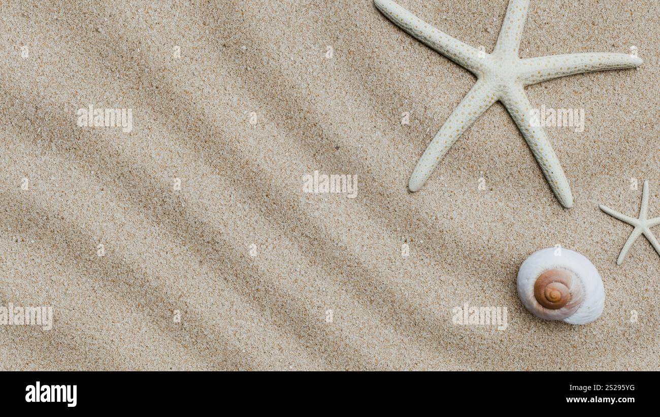 Summer beach concnepts Flat Lay copyspace backgrounds. 3d rendering ...
