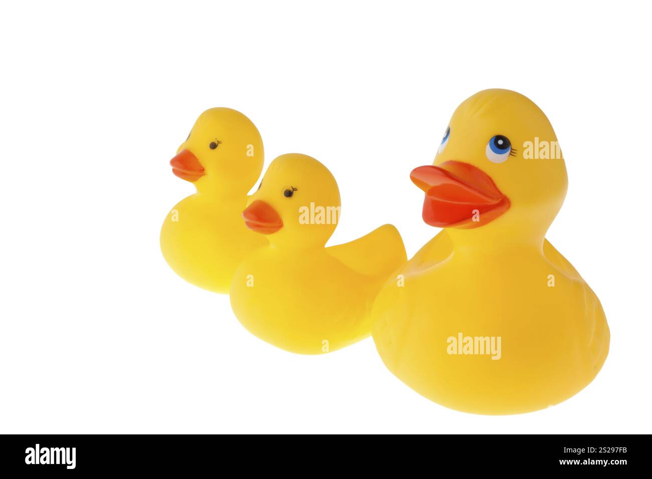 Duck faces Cut Out Stock Images & Pictures - Alamy