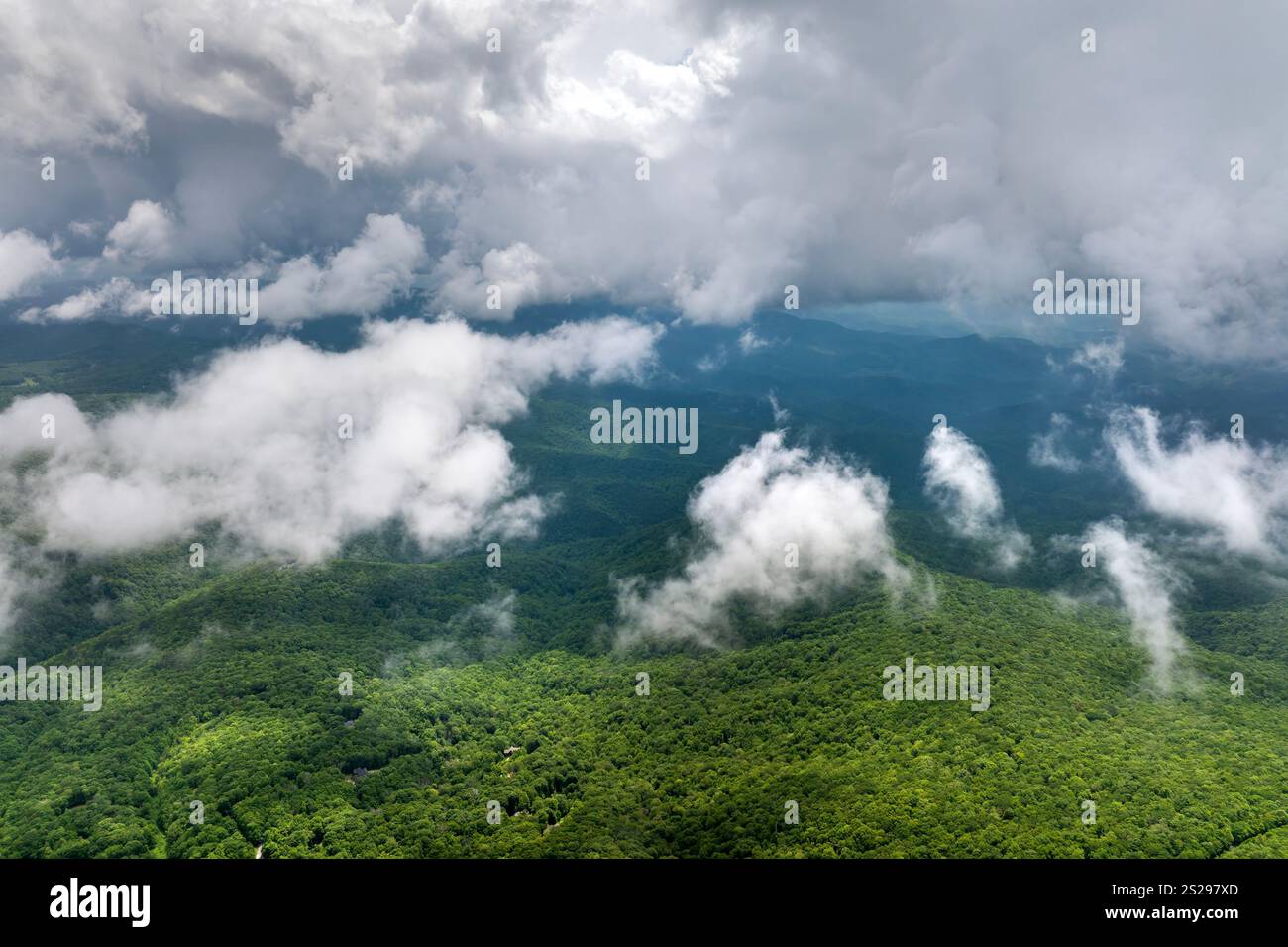 Humid forest in North Carolina Appalachian mountains, USA. American ...