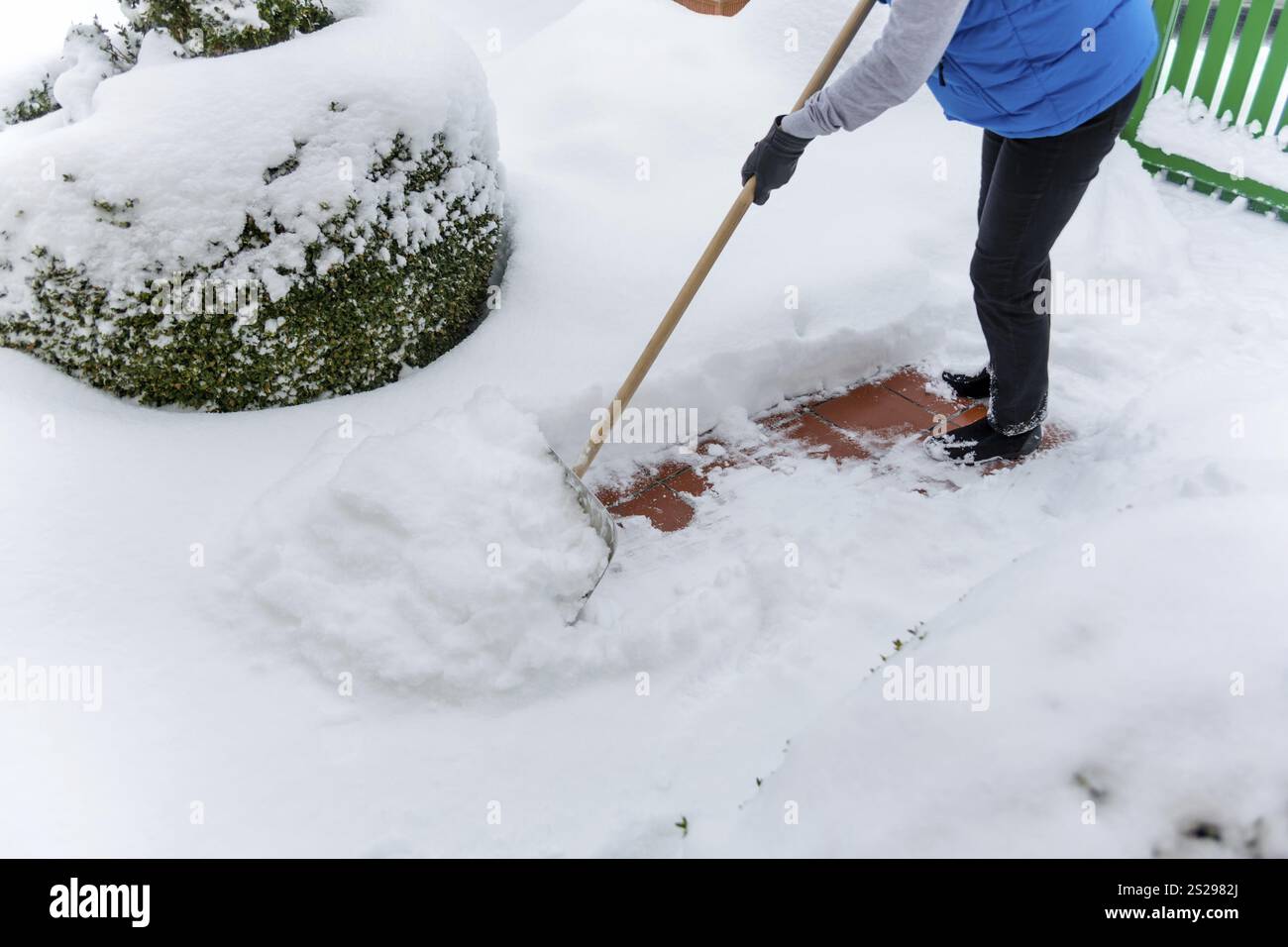 A woman shovels the new snow from a path. Onset of winter in Austria ...