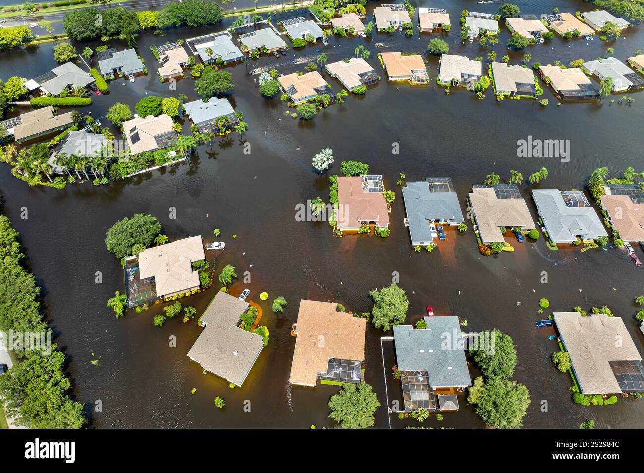 Hurricane Debby flooded cars and homes in Laurel Meadows community in ...
