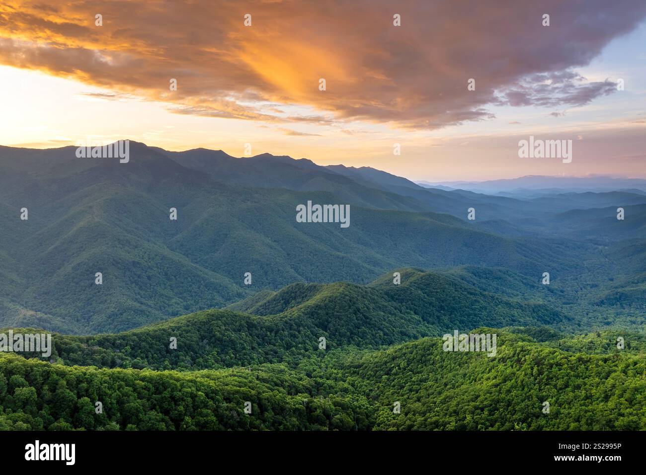 Morning landscape of Mount Mitchell and summer forest on Appalachian ...