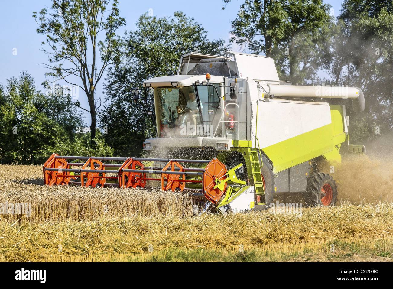 A grain field with wheat at harvest. A combine harvester at work ...