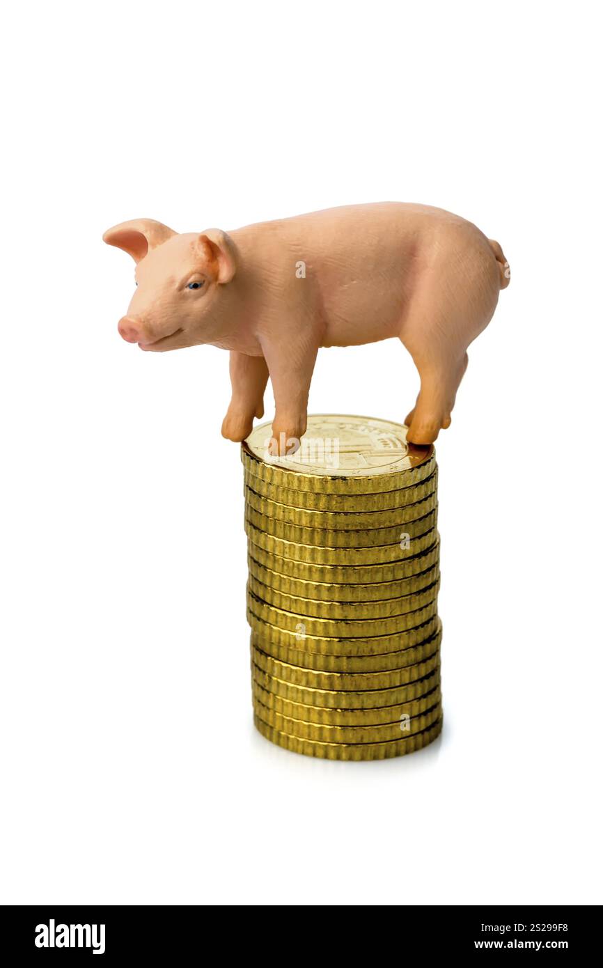 A pig stands on a pile of coins. Rising costs for animal feed in ...