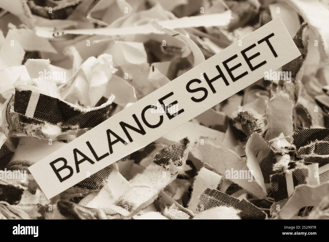 Paper shreds with the keyword Balance Sheet, symbolic photo for data ...