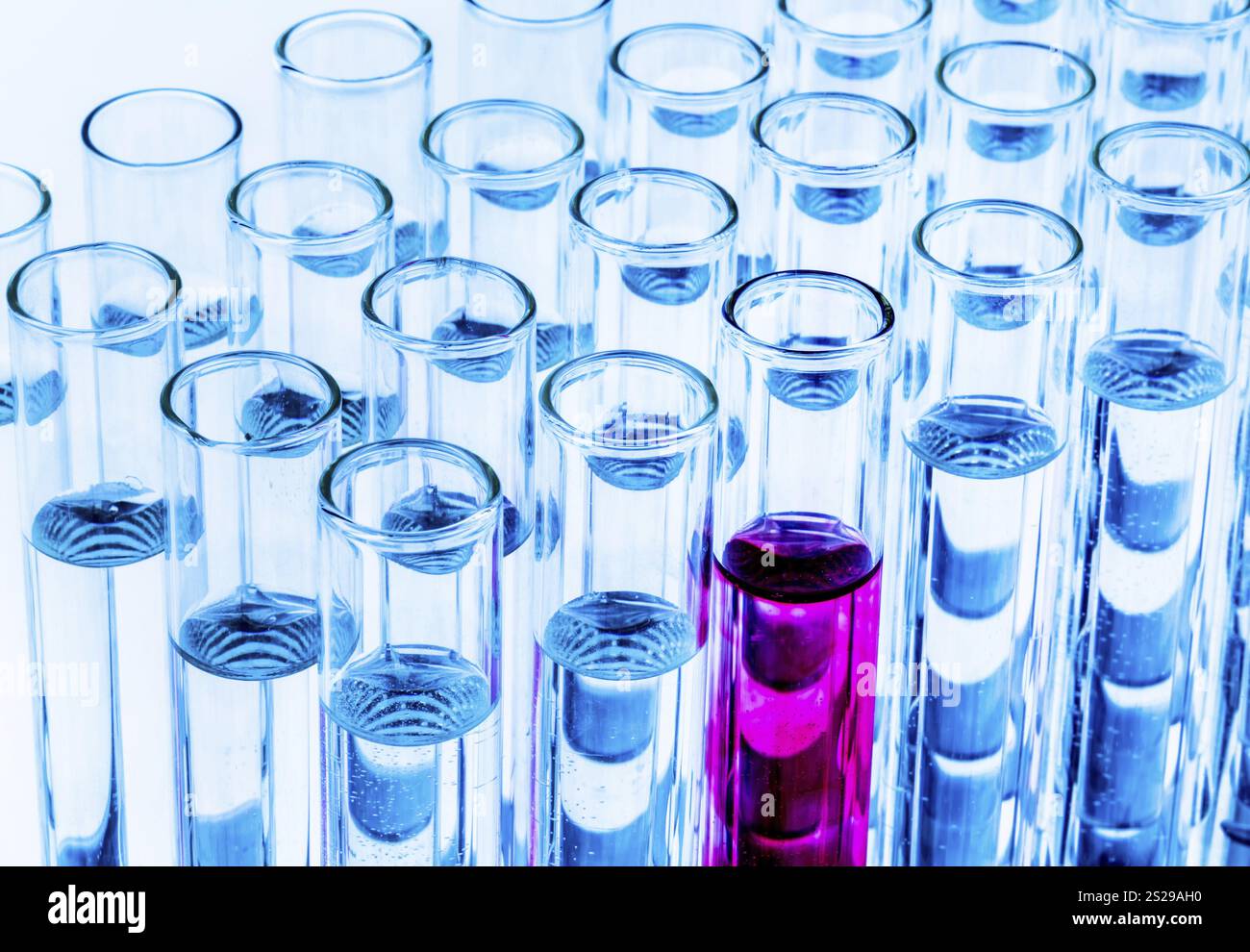 Many test tubes during an experiment in a university research ...