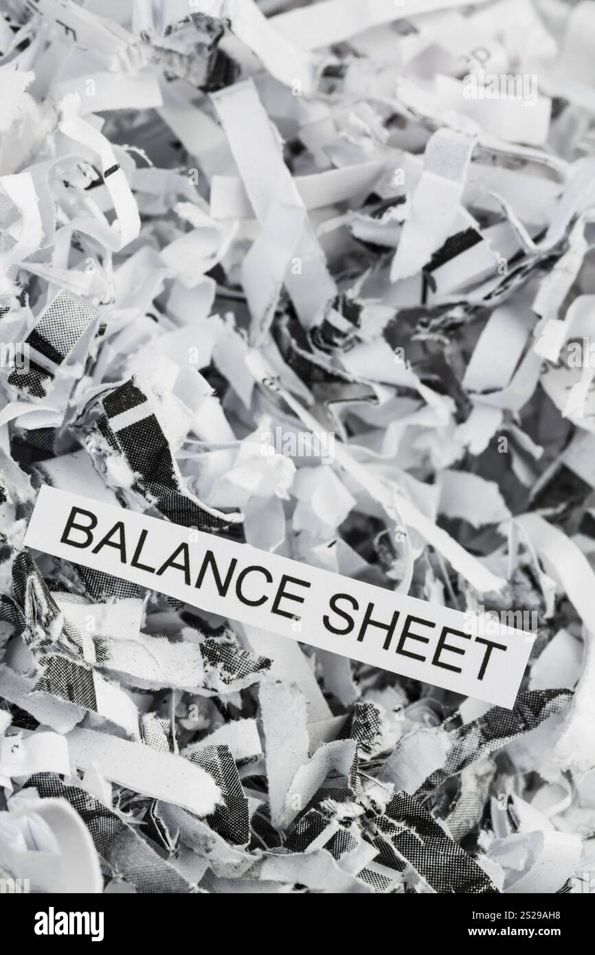 Paper shreds with the keyword Balance Sheet, symbolic photo for data ...