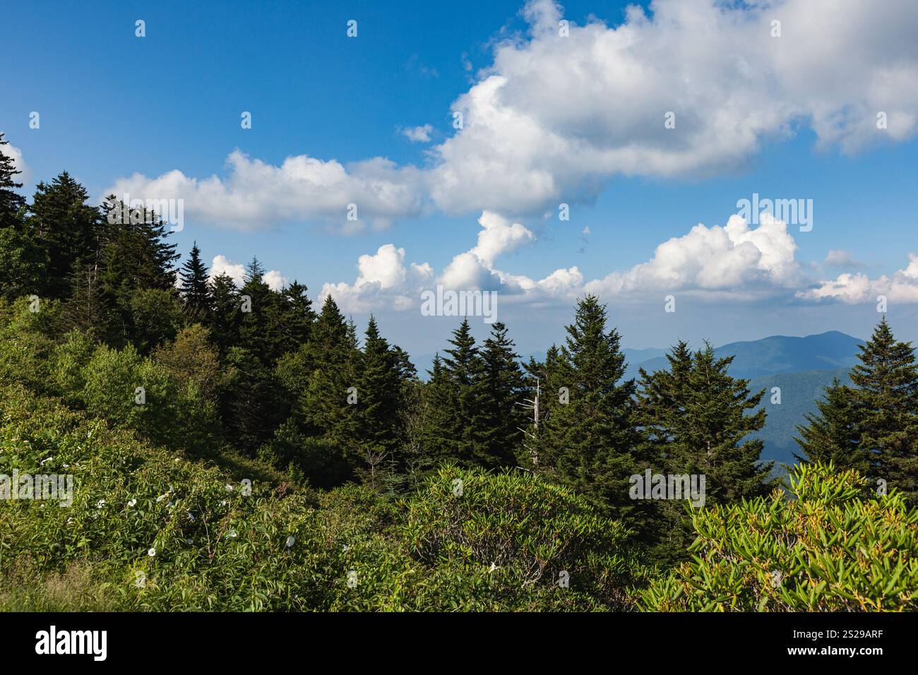 Southern Blue Ridge Parkway Scenic Views Stock Photo - Alamy
