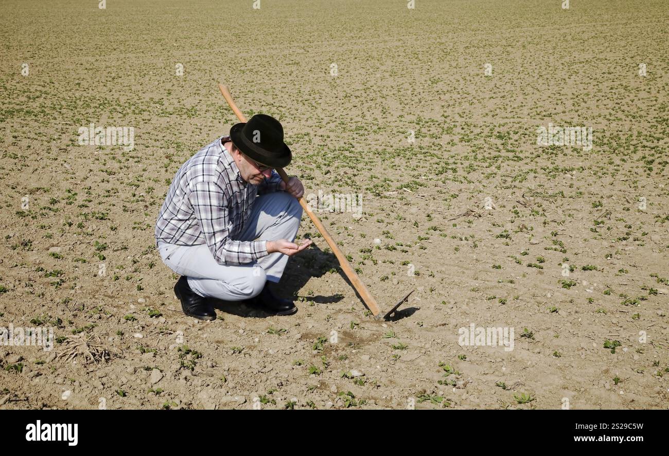 A farmer checks the small plants in an agricultural field. Austria ...