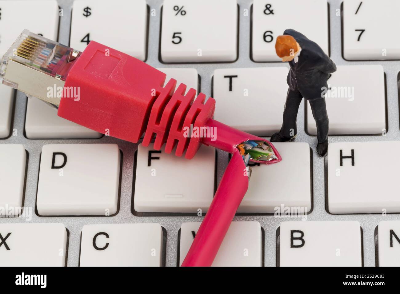 Worker, network plug, keyboard, symbol photo for Internet, malfunction, maintenance, problem ...