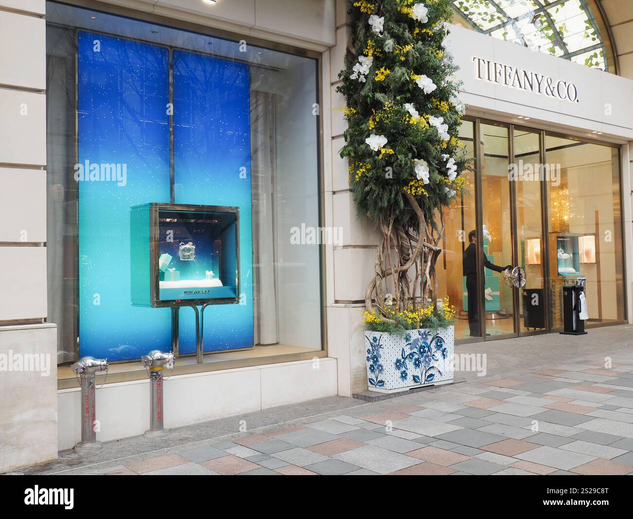 TOKYO, JAPAN - January 3, 2025: Front of a Tiffany store in Tokyo's ...
