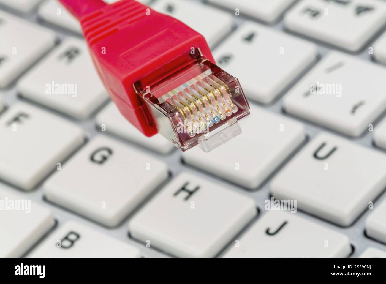 Network cable on keyboard, symbol photo for flat rate, e-commerce ...