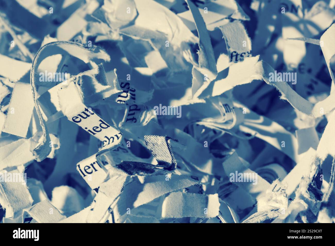 Paper shreds, symbolic photo for data destruction, documentation and ...