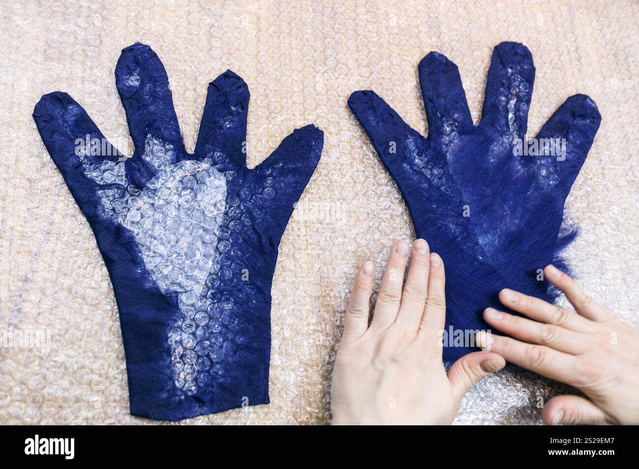 workshop of hand making a fleece gloves from blue Merino sheep wool ...