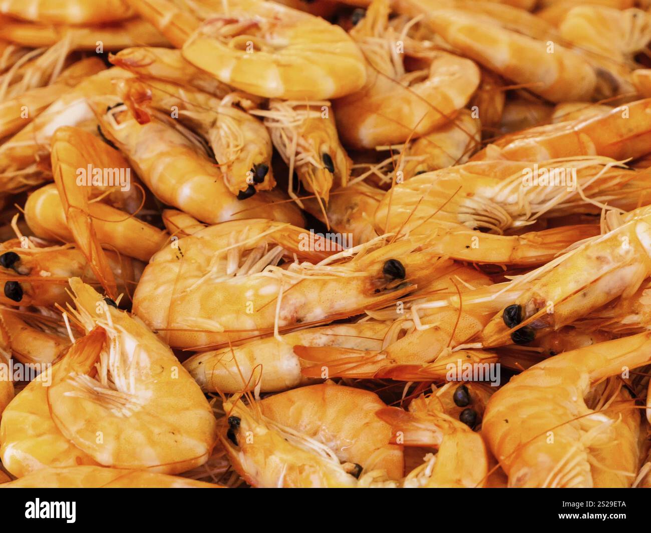 Fresh prawns at a fish market waiting for a buyer Stock Photo - Alamy