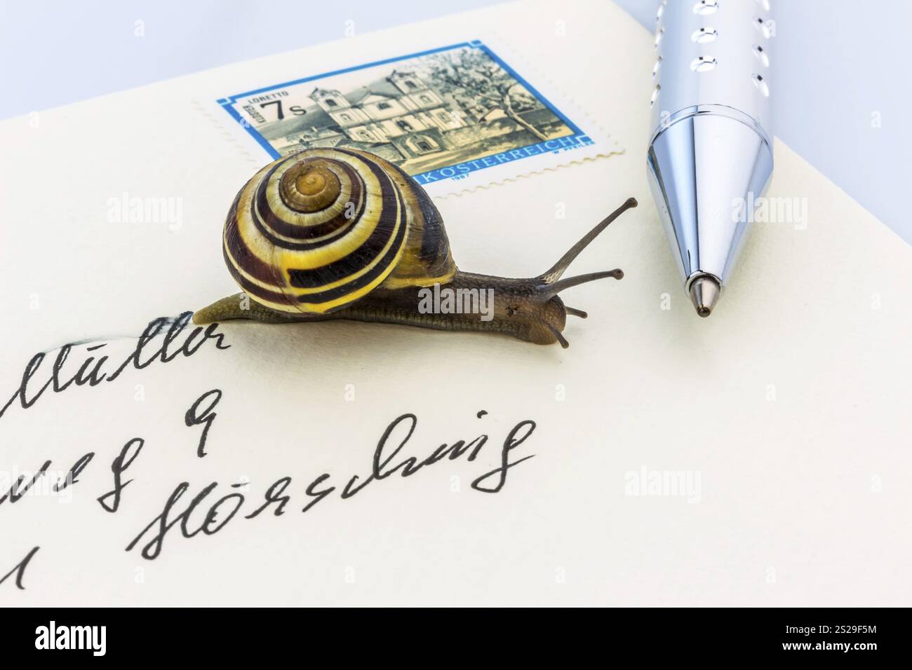 A snail on a letter. Symbolic photo for slow delivery. Snail mail ...