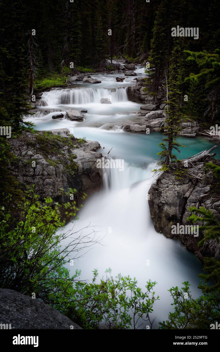 Nigel Creek - Banff National Park, AB, Canada Stock Photo - Alamy