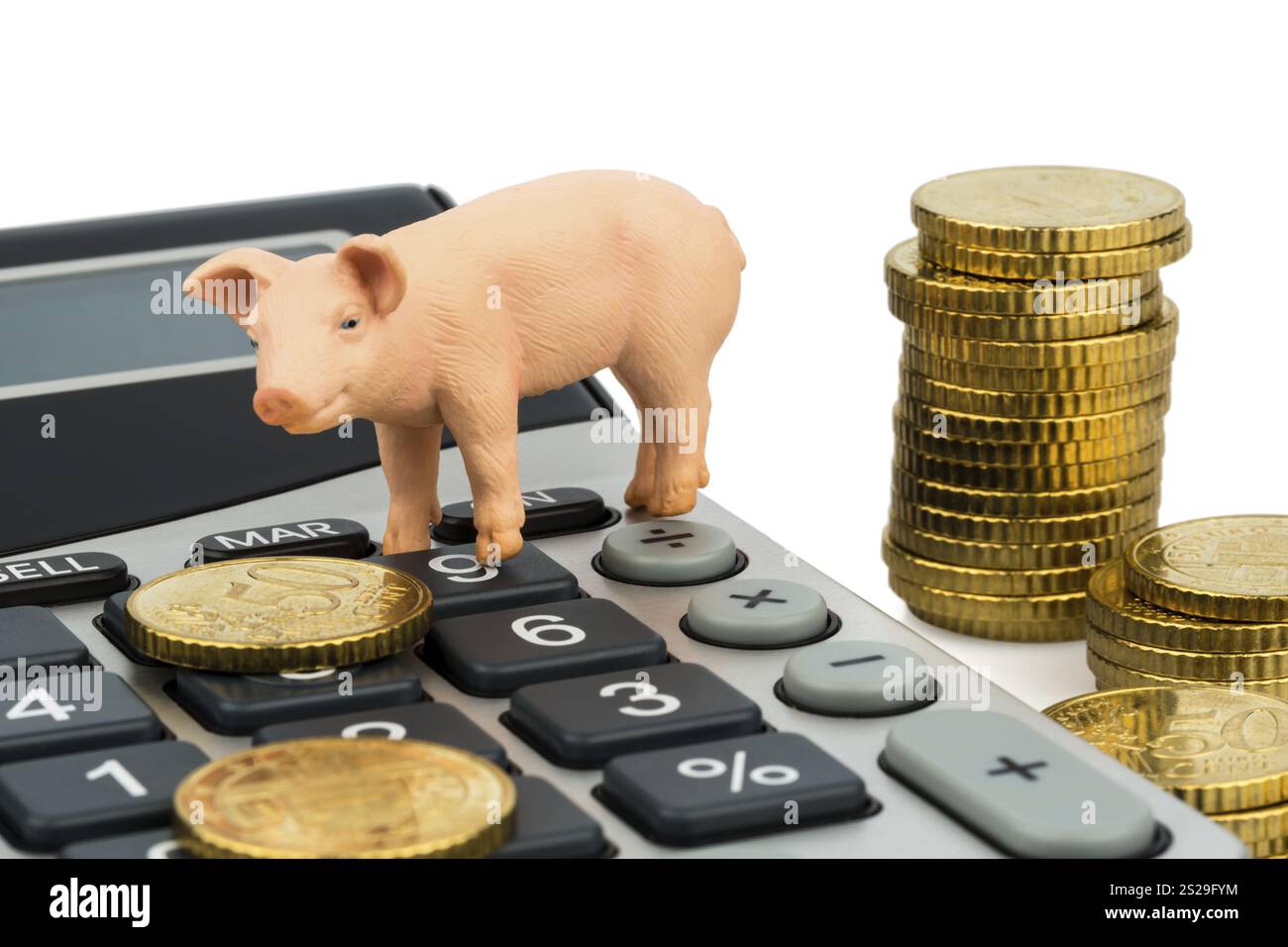 A pig and a calculator as a symbolic photo for costs and income for a ...