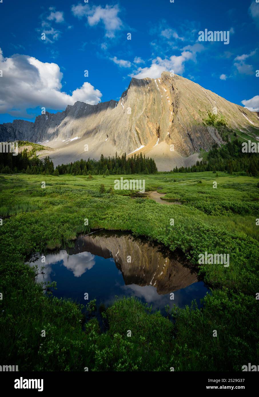 Mount Chester - Spray Valley Provincial Park, AB, Canada Stock Photo ...