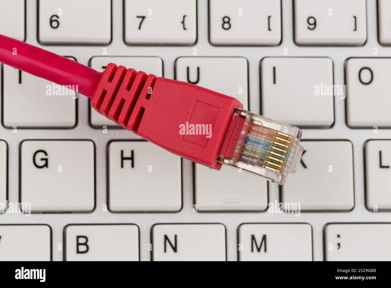 Network cable on keyboard, symbol photo for flat rate, e-commerce ...
