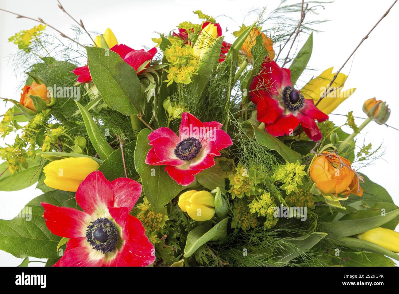A colourful bouquet of spring flowers on a white background. Austria ...