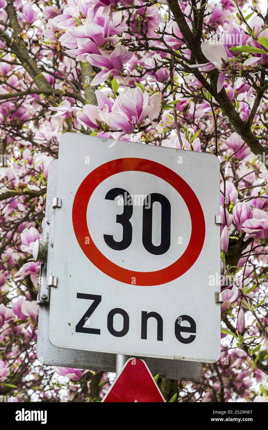 A sign Walk at your own risk. Warning of uncleared paths Austria Stock ...
