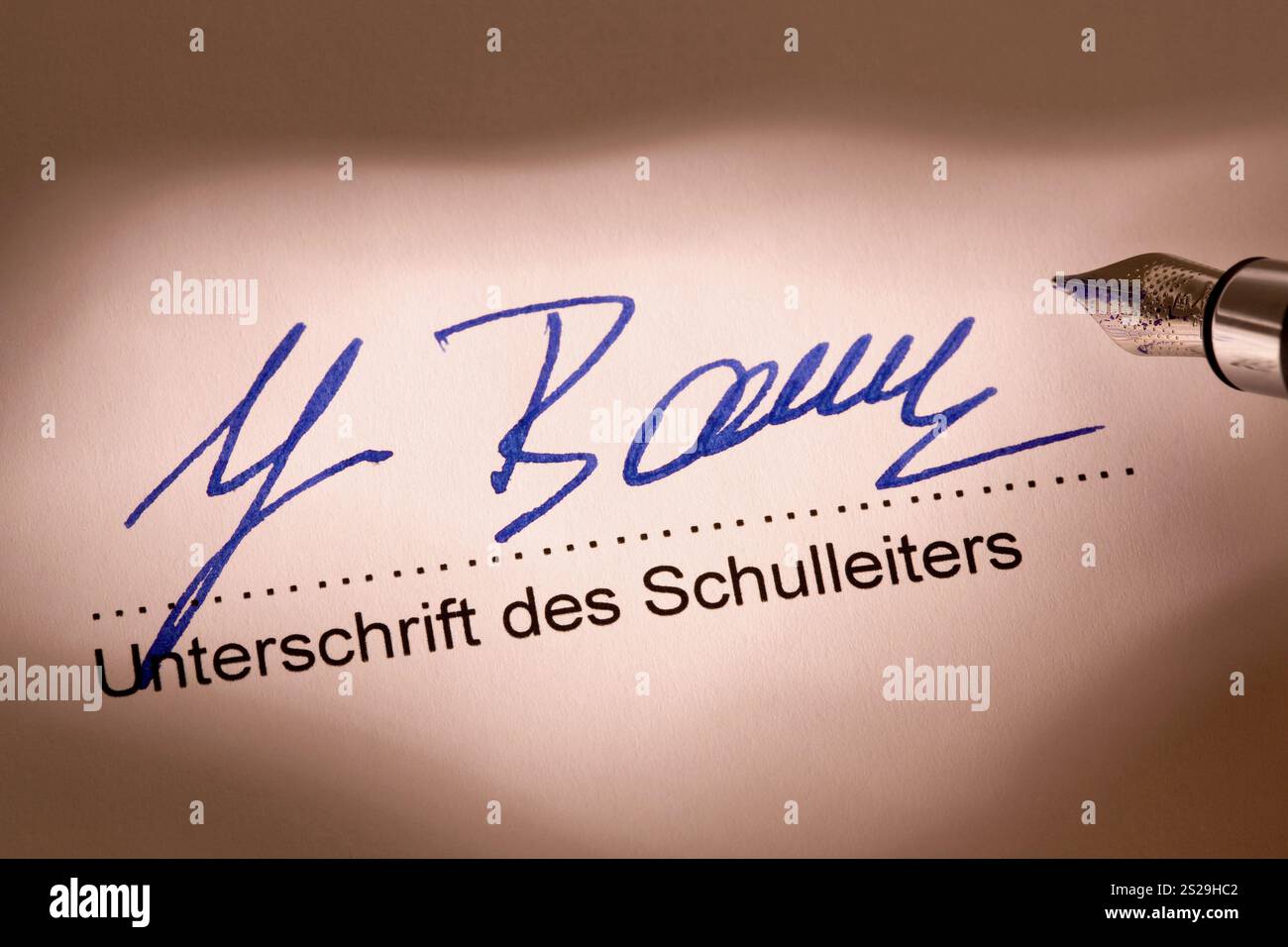 Signature under an official document of the school Reprimand or report ...