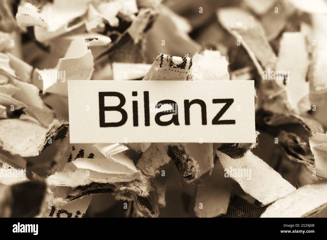Paper shreds with keyword balance sheet, symbolic photo for data ...