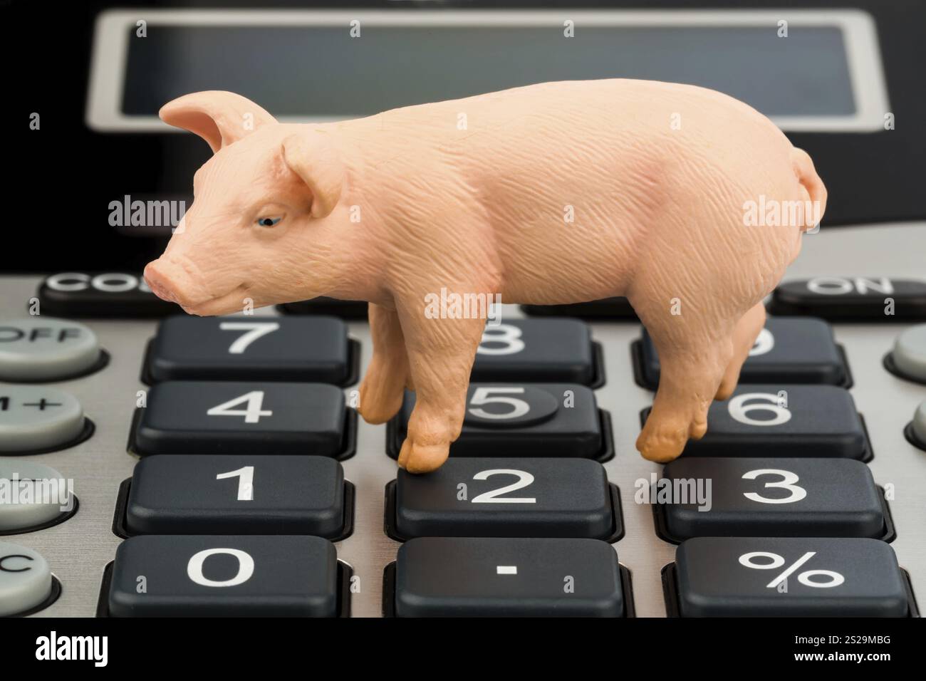 A pig and a calculator as a symbol for costs and income for a farmer in ...