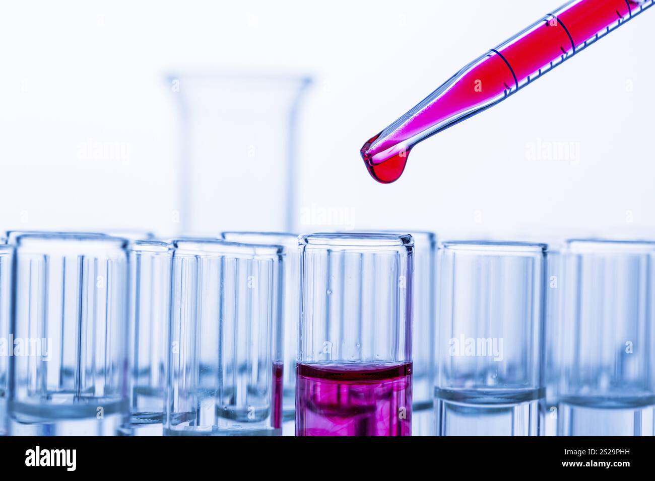 Many test tubes during an experiment in a university research ...