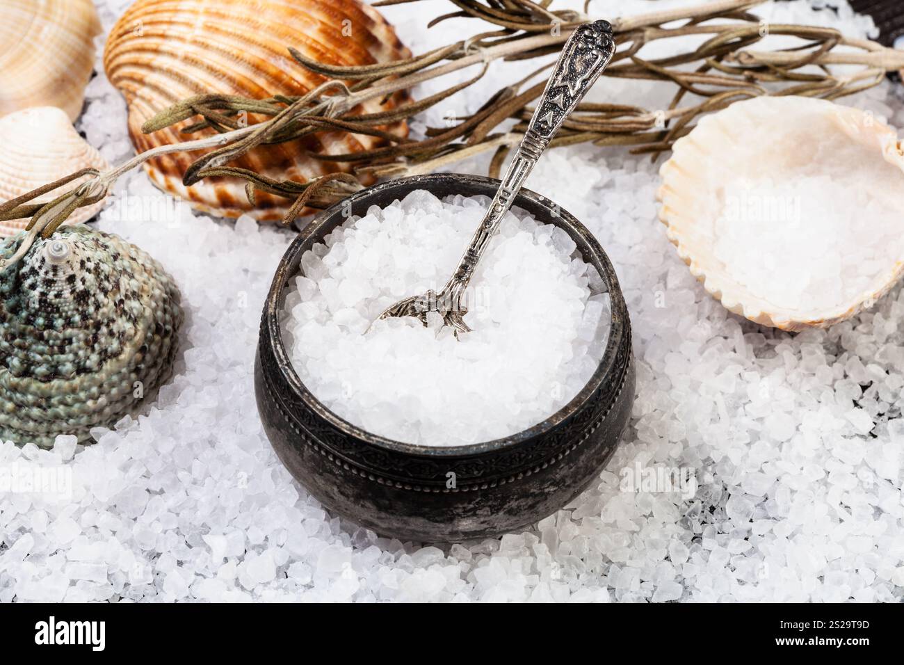 still-life with salt cellar, shells and coarse grained Sea Salt close ...