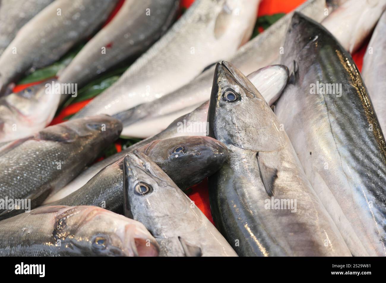 Fresh Fish Beautifully Displayed on a Market Table for Consumers Stock ...