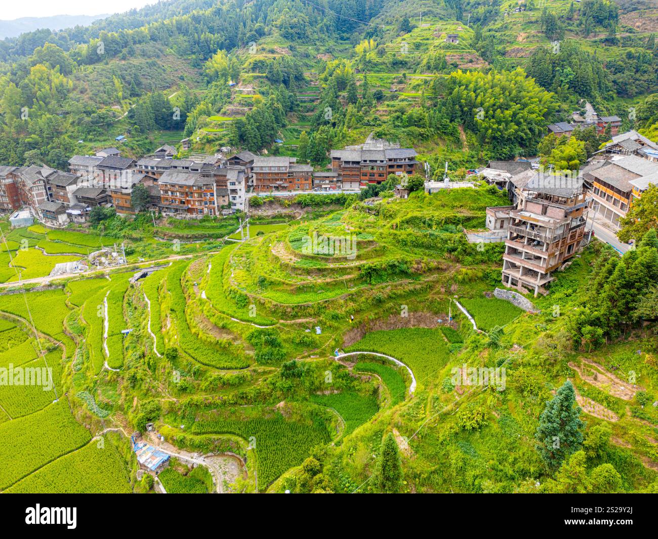 Aerial view of a paddy fields and the Zhaoxing Dong Village in Liping ...
