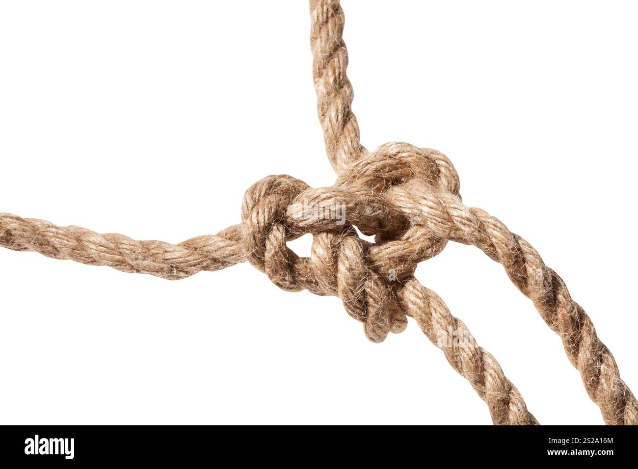 knot of Running bowline loop close up on thick jute rope isolated on ...