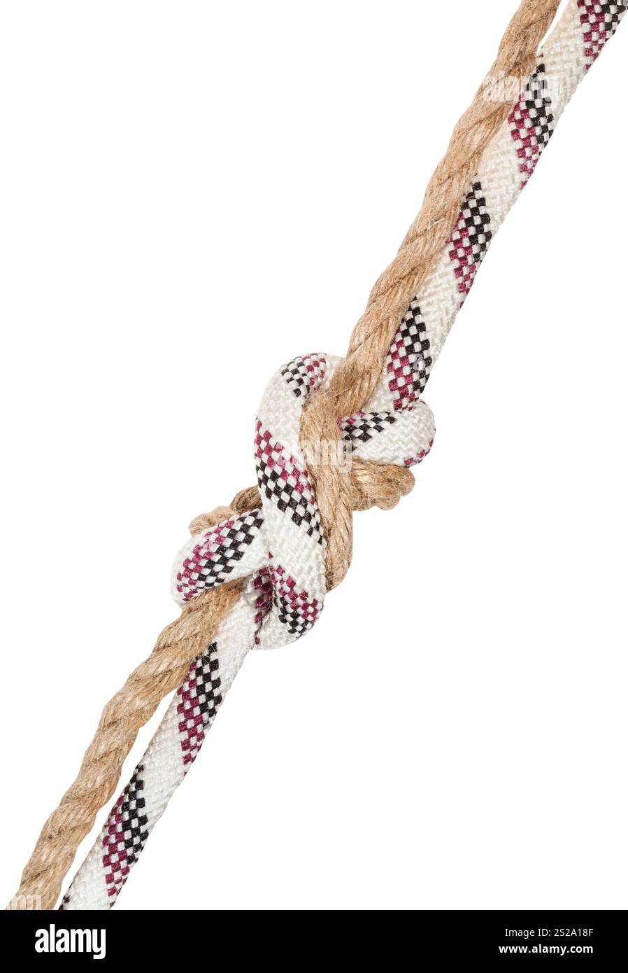 Ring Knot (Water Knot) joining two ropes isolated on white background ...