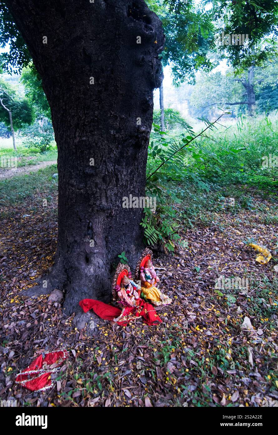 Ganesha and Parvati statues in a small temple by an old tree in The ...