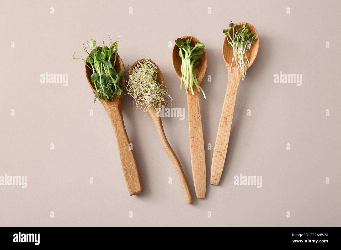 Wooden spoons with different fresh micro green on color background ...