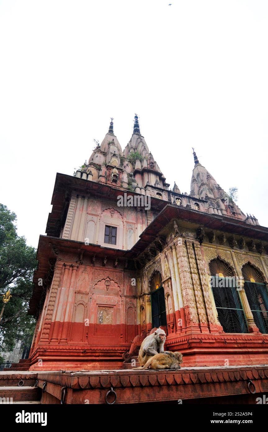 An abandoned Hindu temple ( Mani Parvat ? ) in Ayodhya, Uttar Pradesh ...
