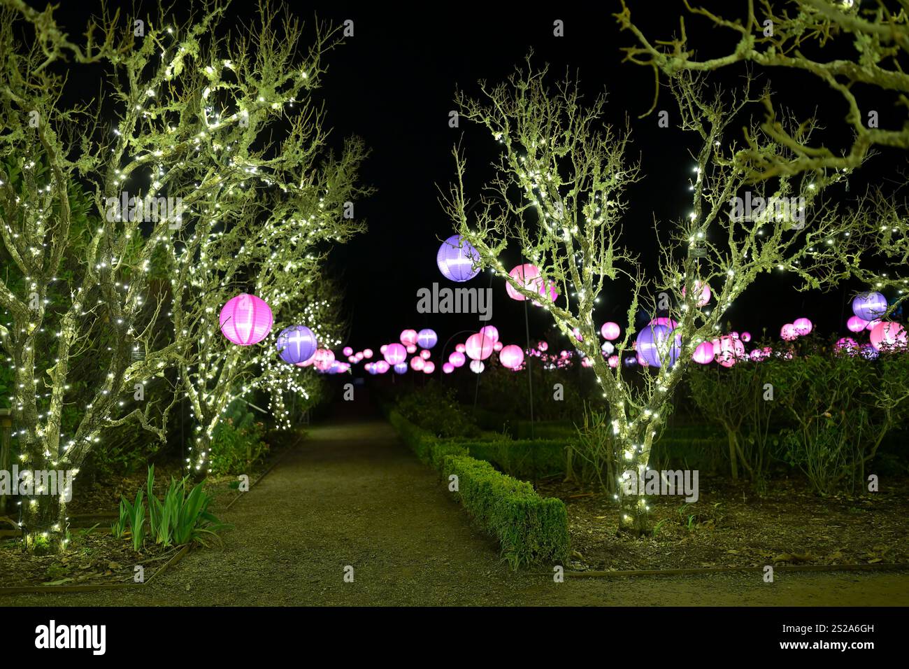 The dazzling lights at the Filoli Estate during the festive season ...