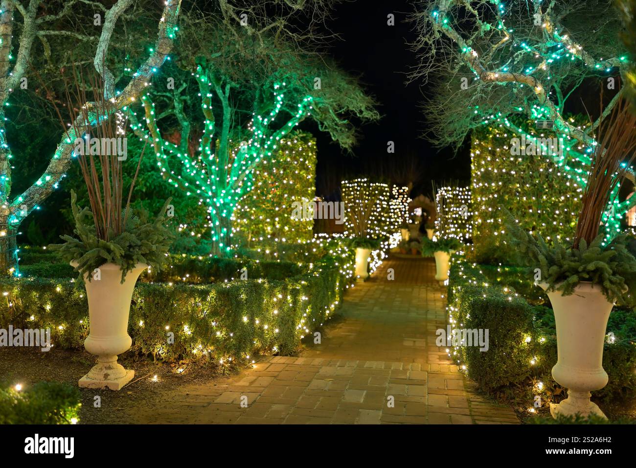 The dazzling lights at the Filoli Estate during the festive season ...