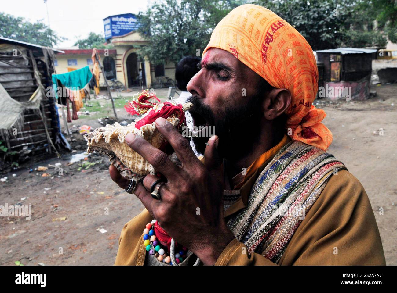 Conch shell india hi-res stock photography and images - Alamy