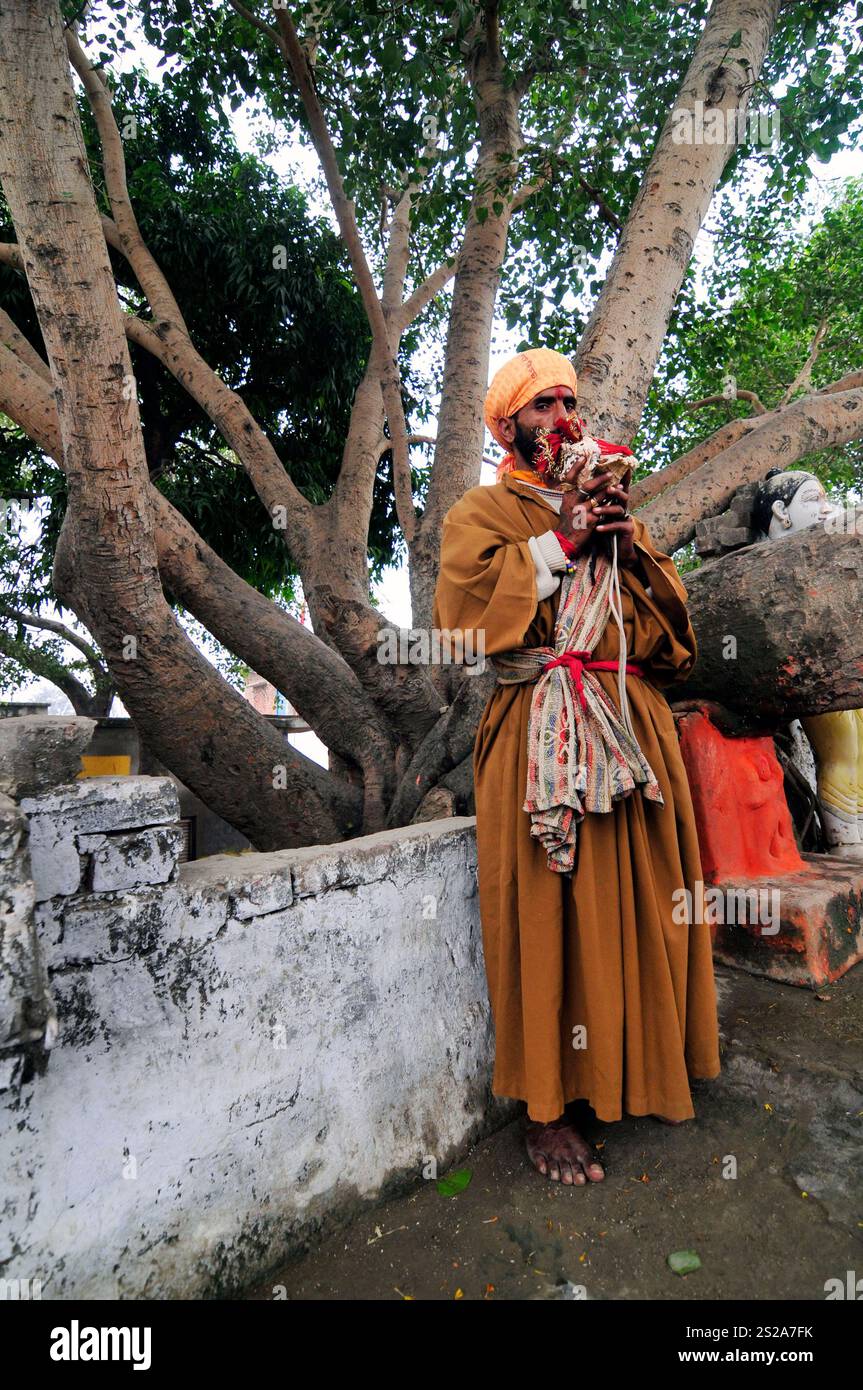 Conch shell india hi-res stock photography and images - Alamy