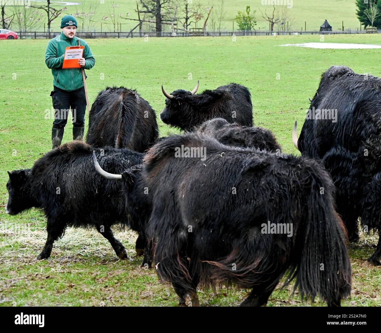 Sopa yak hi-res stock photography and images - Alamy