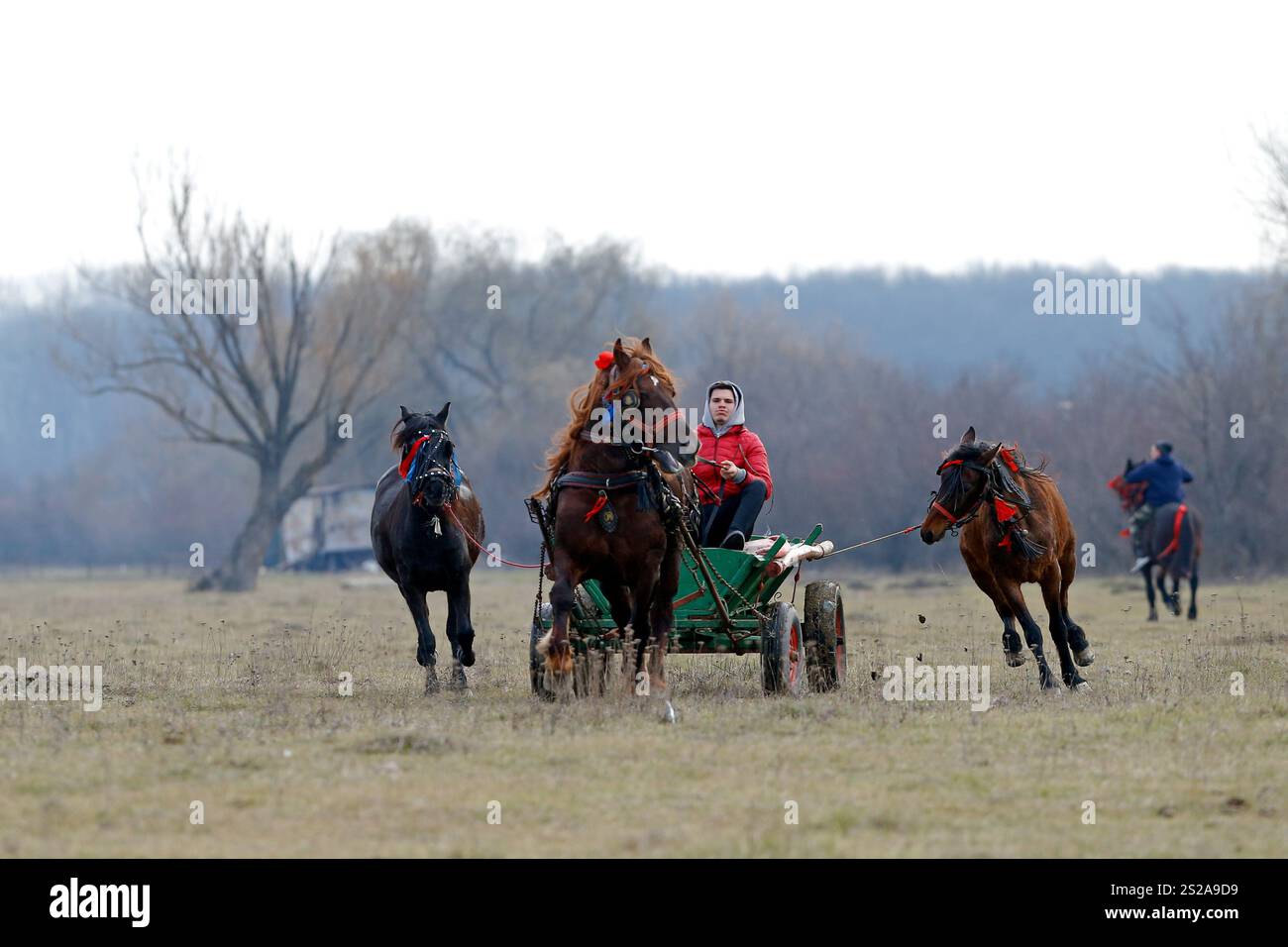 Bucharest, Romania. 6th Jan, 2025. A villager arrives in a horse-driven ...