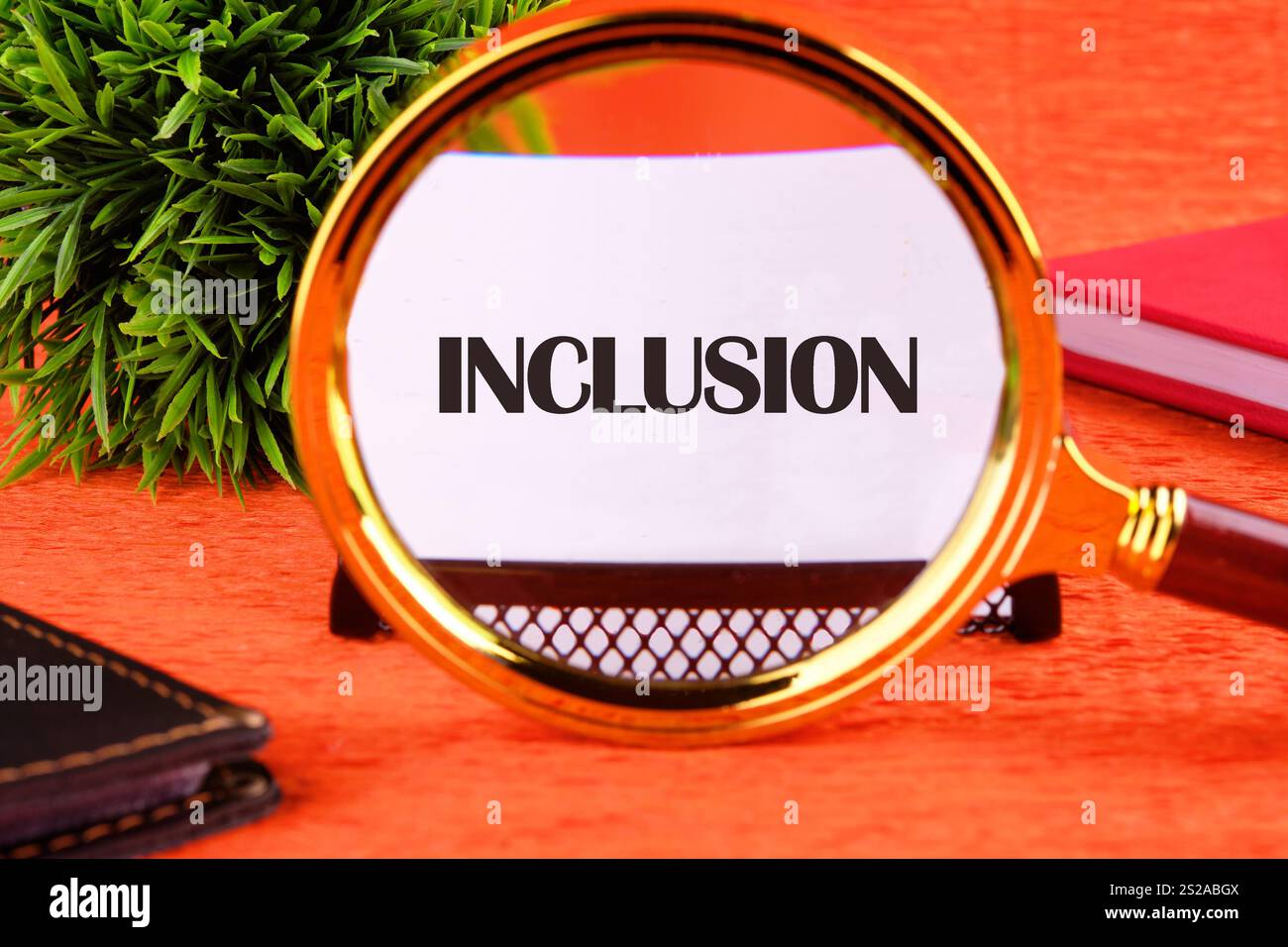 Diversity, business, inclusion and belonging concept. INCLUSION text ...