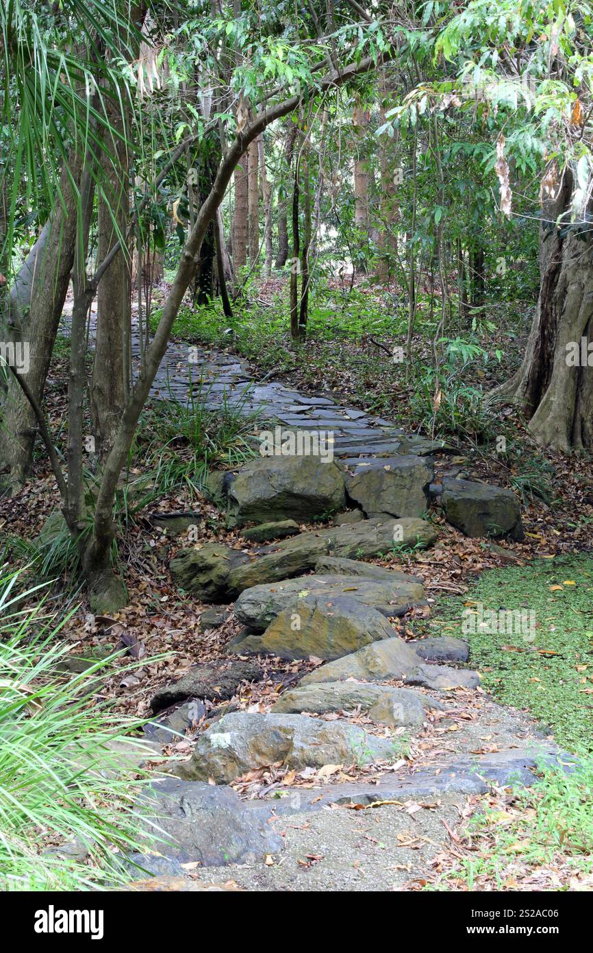 Rocky pathway through trees at the Tondoon Botanic Gardens in Gladstone ...