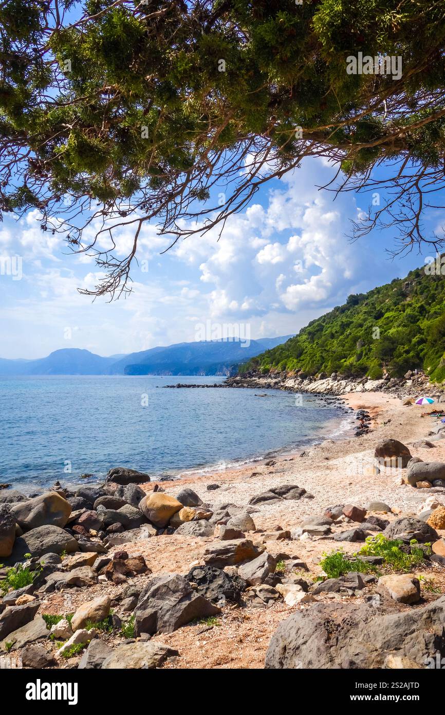 Sos Dorroles beach in the Golf of Orosei, Sardinia, Italy Stock Photo ...