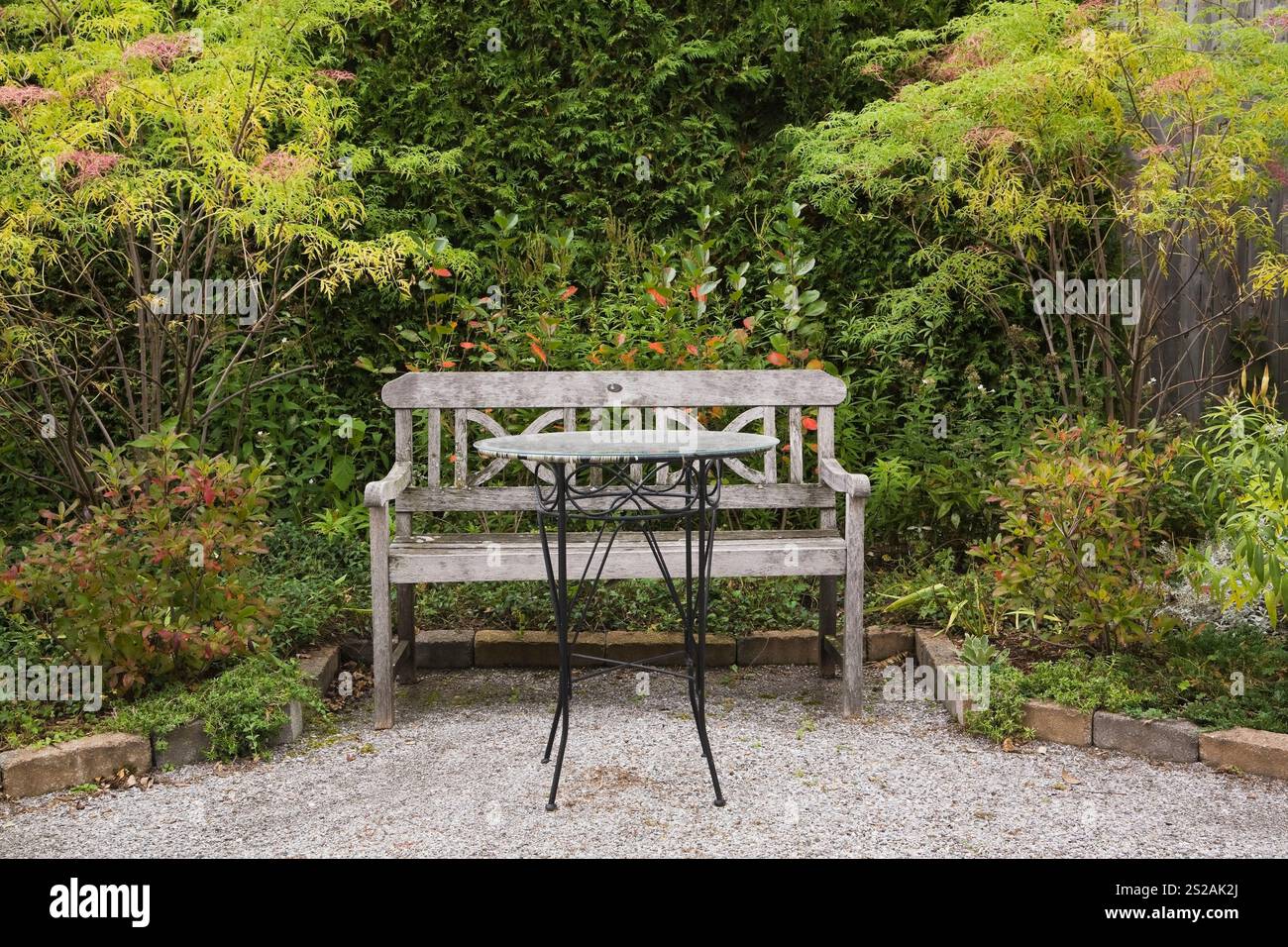 Gravel stone patio with old wooden bench and bistro table with Sambucus ...