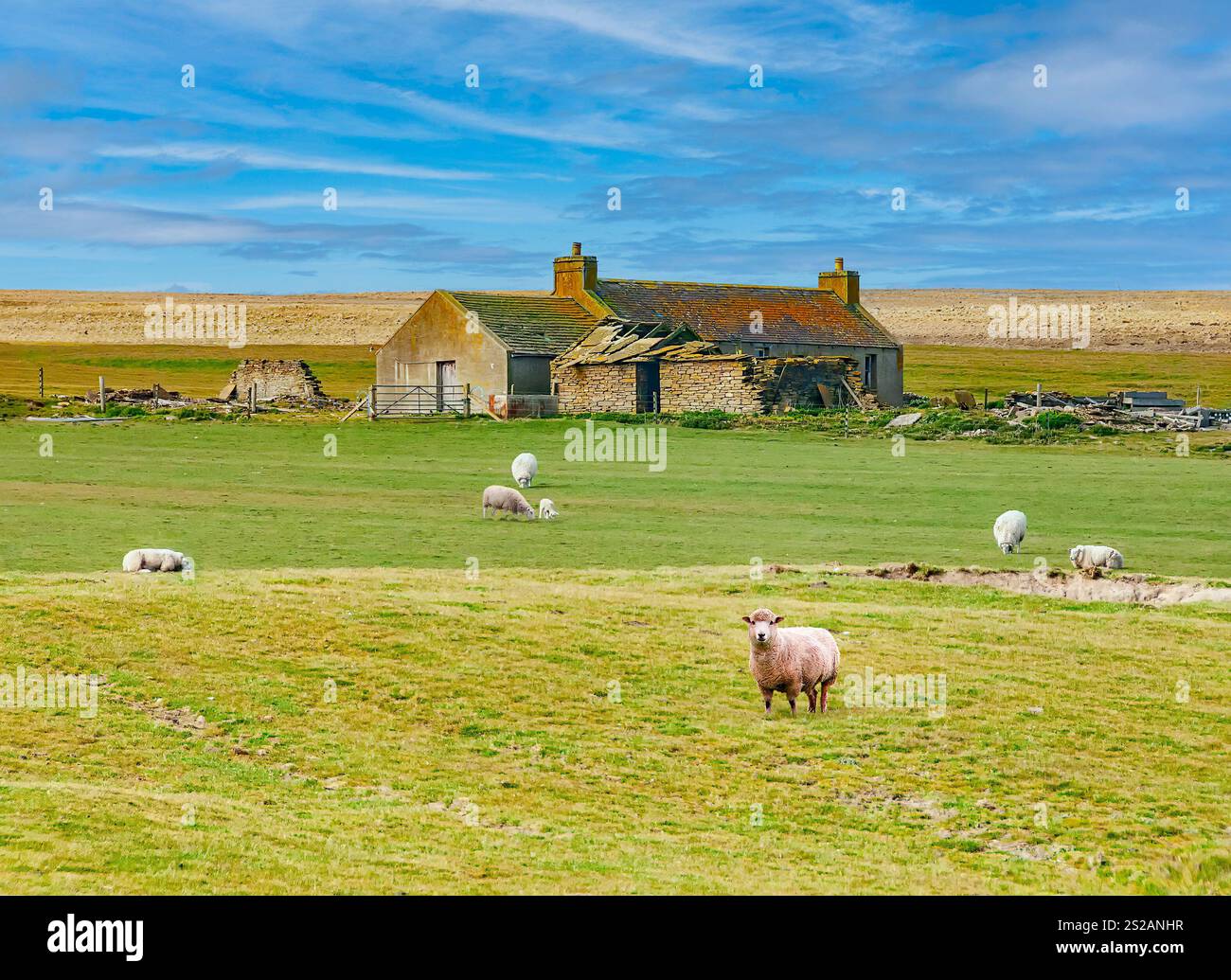 Orkney Islands, Scotland - May 21, 2012: Typical Scottish green ...
